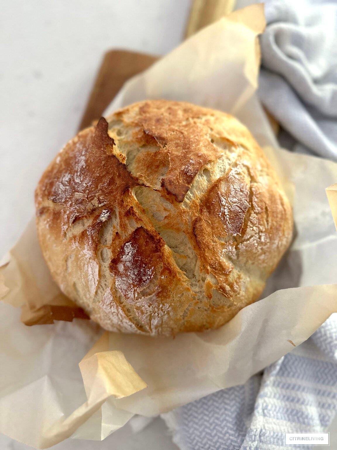 RUSTIC ARTISAN BREAD: NO KNEAD AND SO EASY TO MAKE! - CITRINELIVING