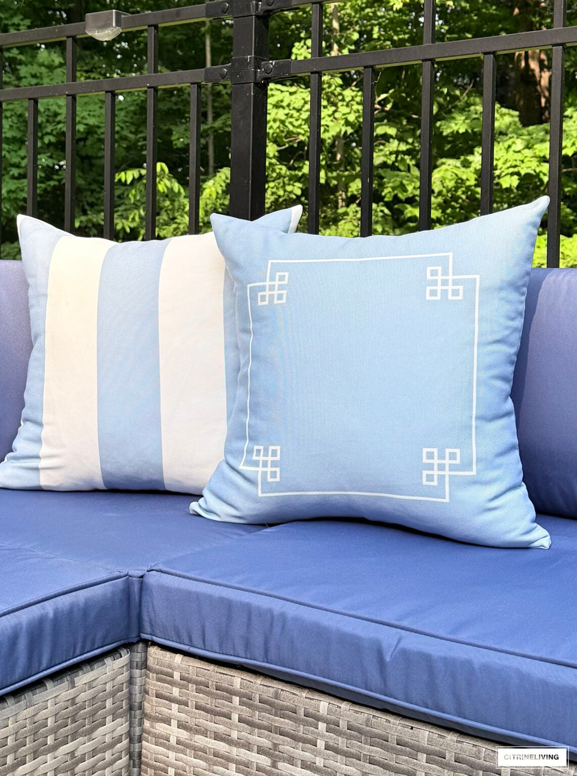 OUR CHIC POOL UPDATE! - CITRINELIVING